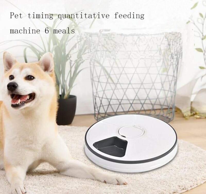 Automatic Pet Feeder For Dogs Cats Timed Quantitative Feeding ...