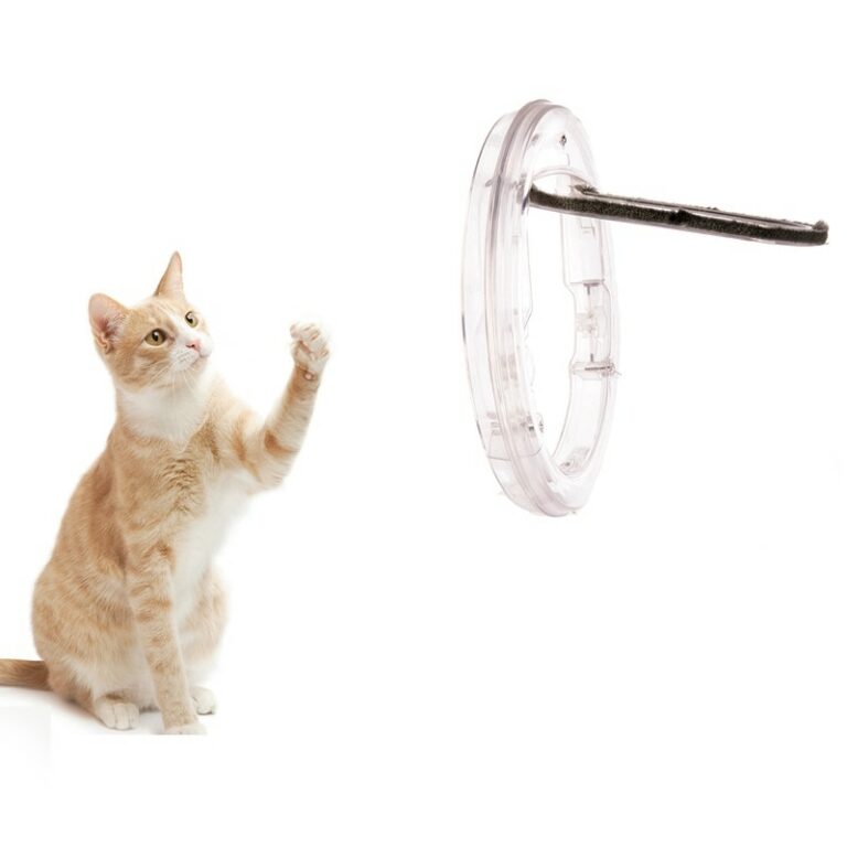 Small Pet Door 4way Glass Window Cat Flap Round Dog Entrance | CatsPros ...