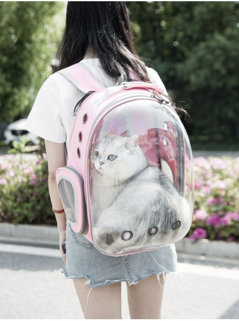 Portable Pet Carrier Backpack Space Capsule Window For Small Cats ...