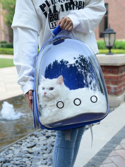 Large Transparent Cat Backpack Space Capsule Pet Travel Carrier ...