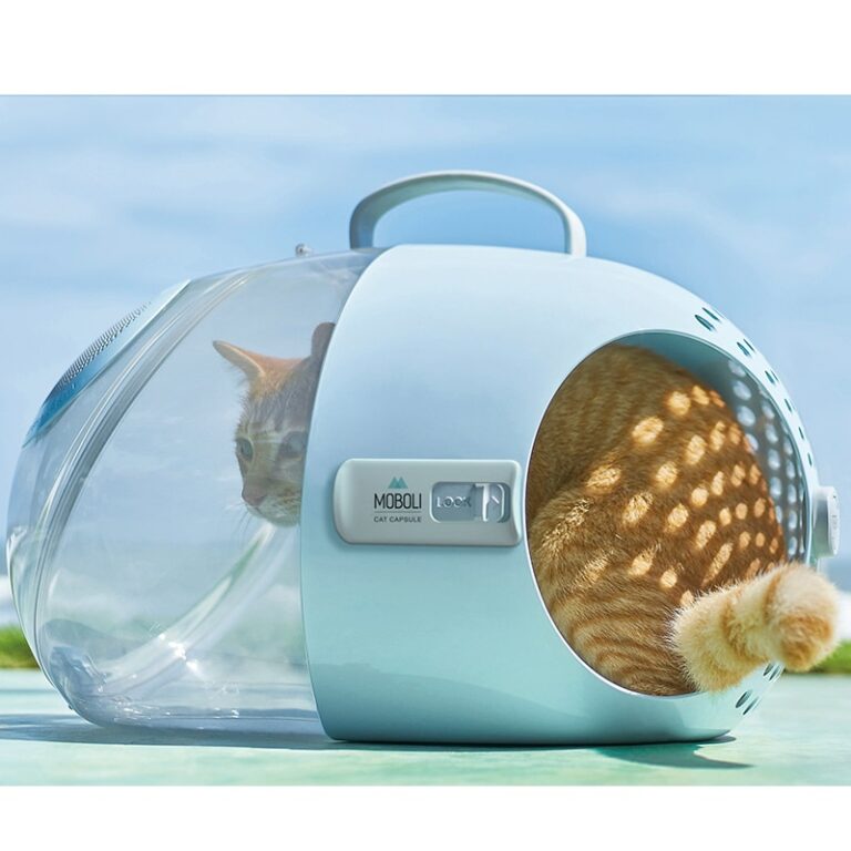 Deluxe Transparent Pet Carrier Catdog Space Capsule Travel Bag ...