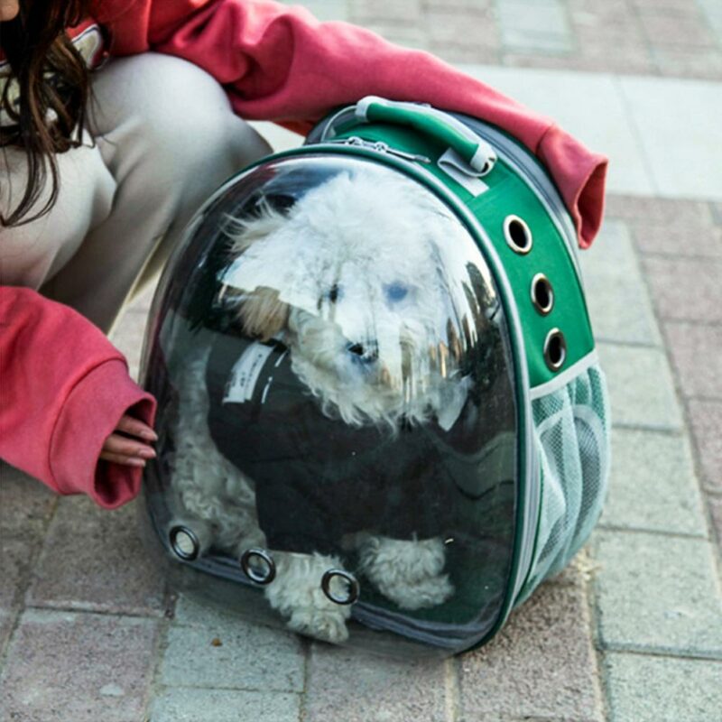 Large Space Capsule Cat Backpack Foldable Multifunction Pet Carrier ...