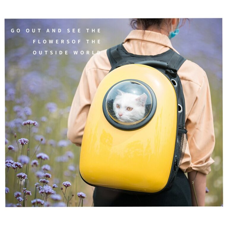 Transparent Hard Shell Portable Dogcat Outdoor Travel Carrier Backpack ...