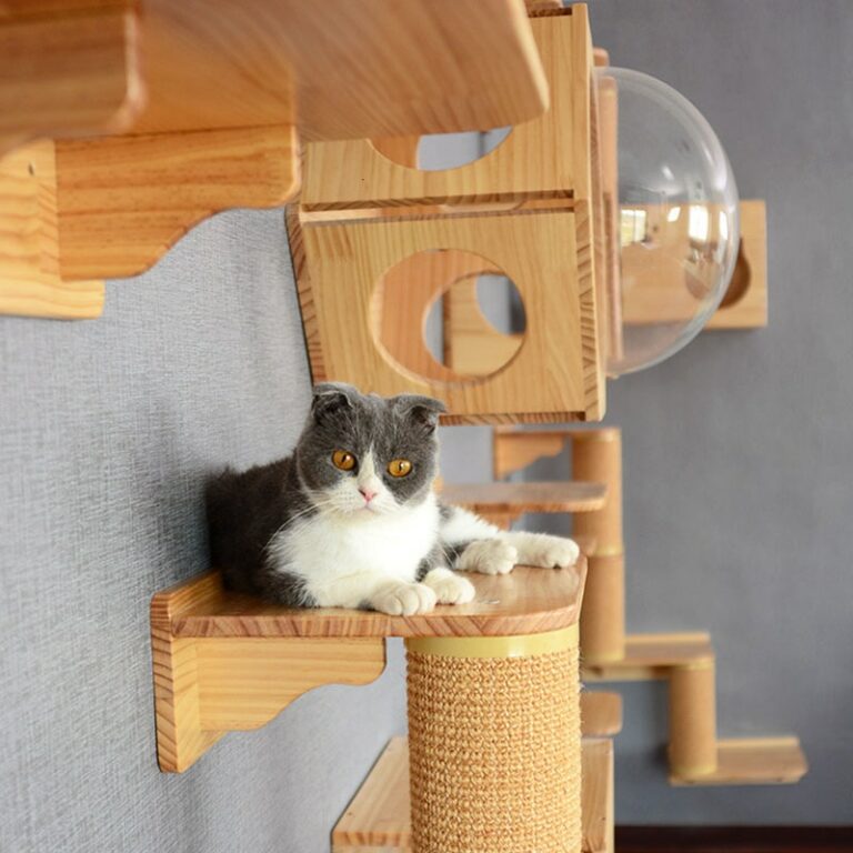 Wall Mounted Cat Climbing Frame With Sisal Scratching Post And Kitten ...
