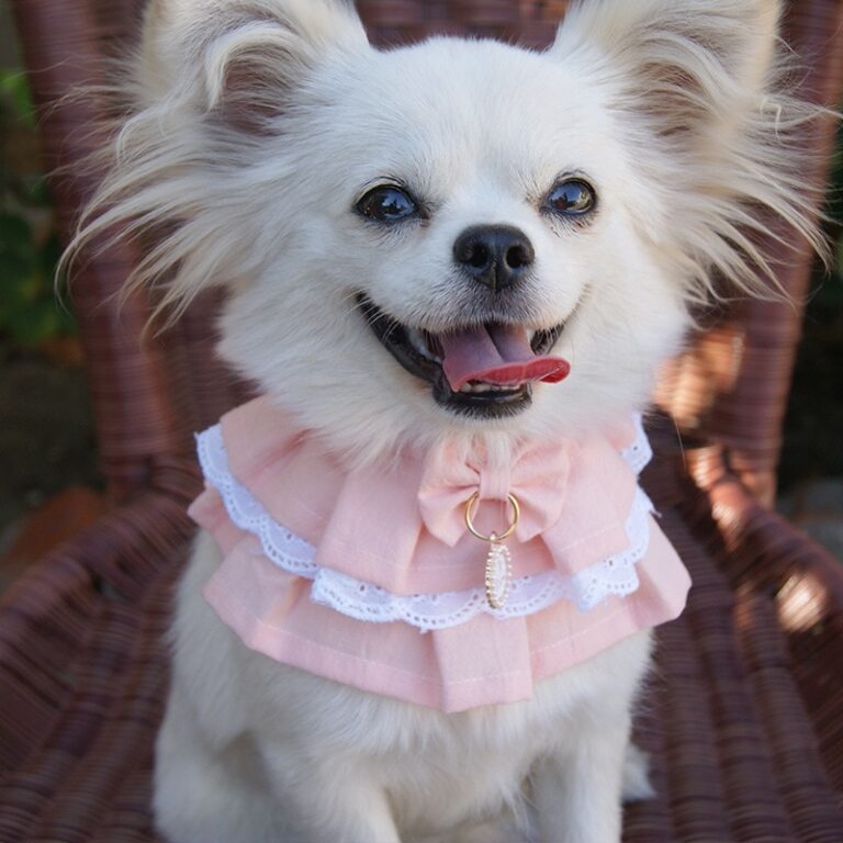 Adjustable Pink Lace Flower Collar Bib For Princess Dogs Handmade ...