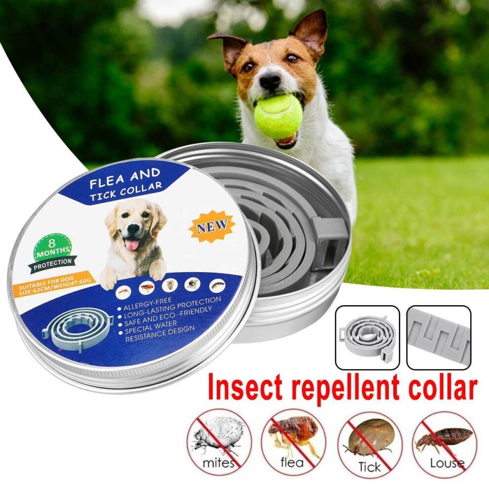 Antiflea Dog Collar Tick Lice Mosquito Repellent For Catsdogs ...