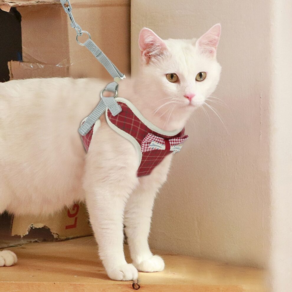 Adjustable Mesh Cat Harness And Leash Set For Small Dogs Kittens ...