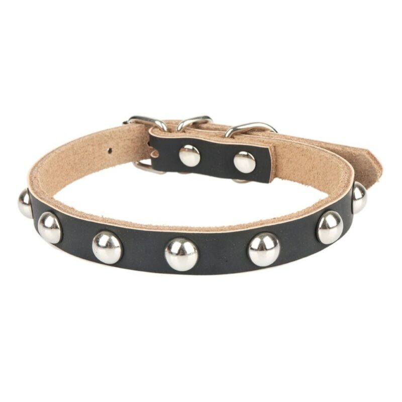 Custom Personalized Safety Breakaway Cat Collar With Quick Release And ...