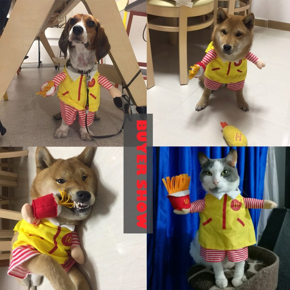 Fun Yellow Fast Food Waiter Cat Costume Cosplay Potato Chips Themed Pet ...