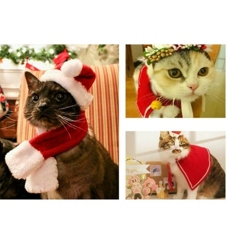 Santa Cat Costume Set Christmas Pet Clothing Red Hat Scarf Cloak ...