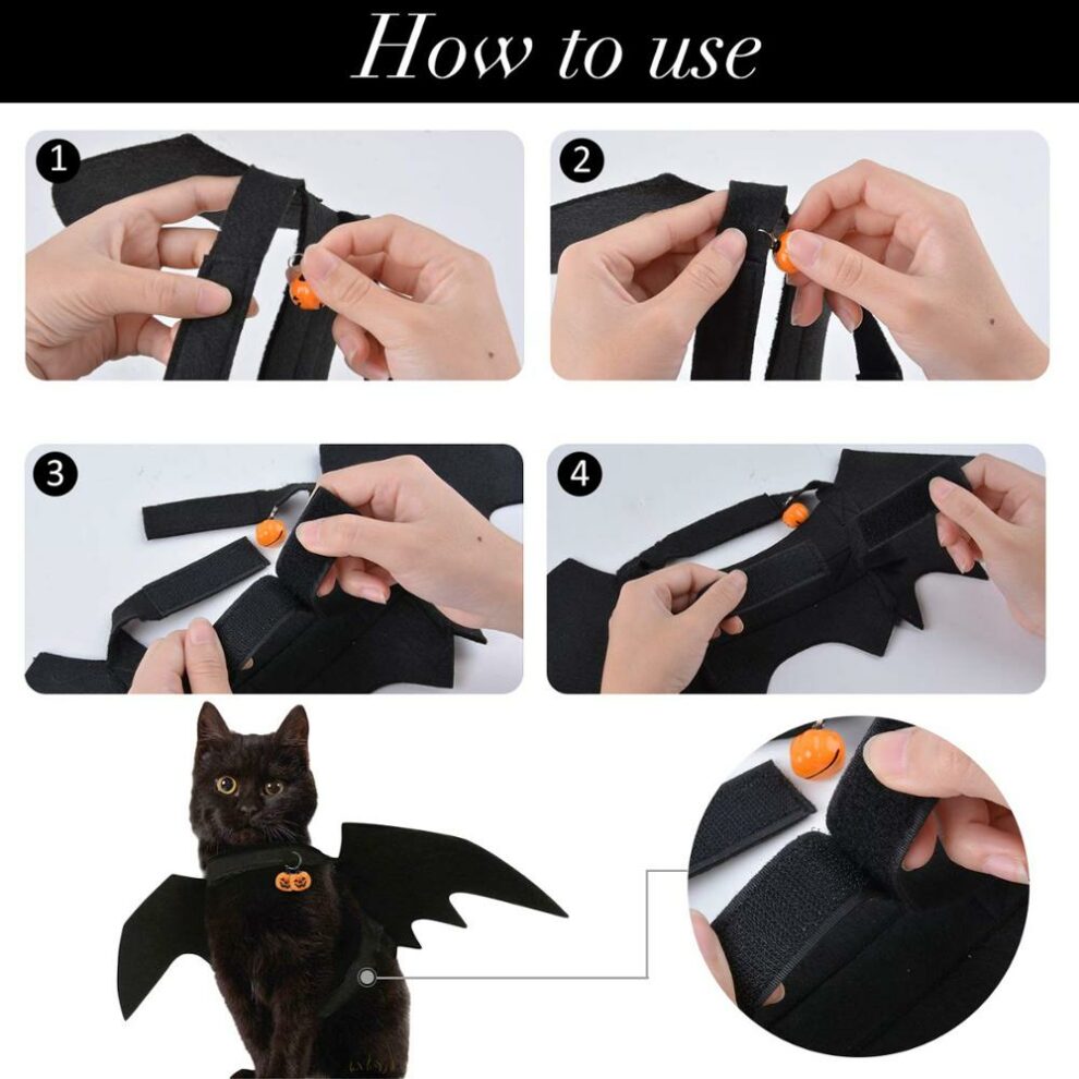 Halloween Catdog Costume Bat Wings Pumpkin Bell Pet Outfit | CatsPros ...