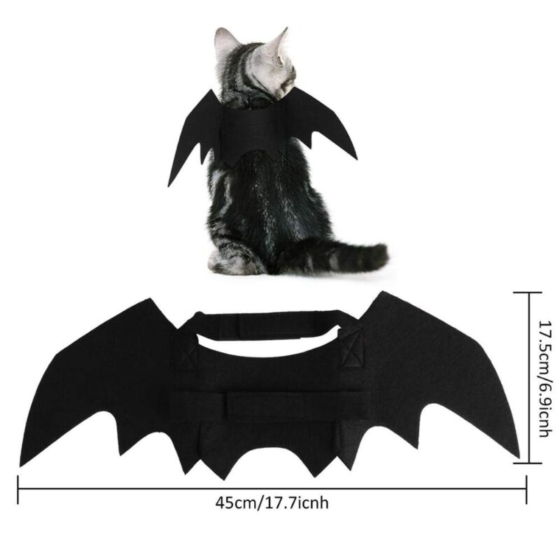 Halloween Catdog Costume Bat Wings Pumpkin Bell Pet Outfit | CatsPros ...