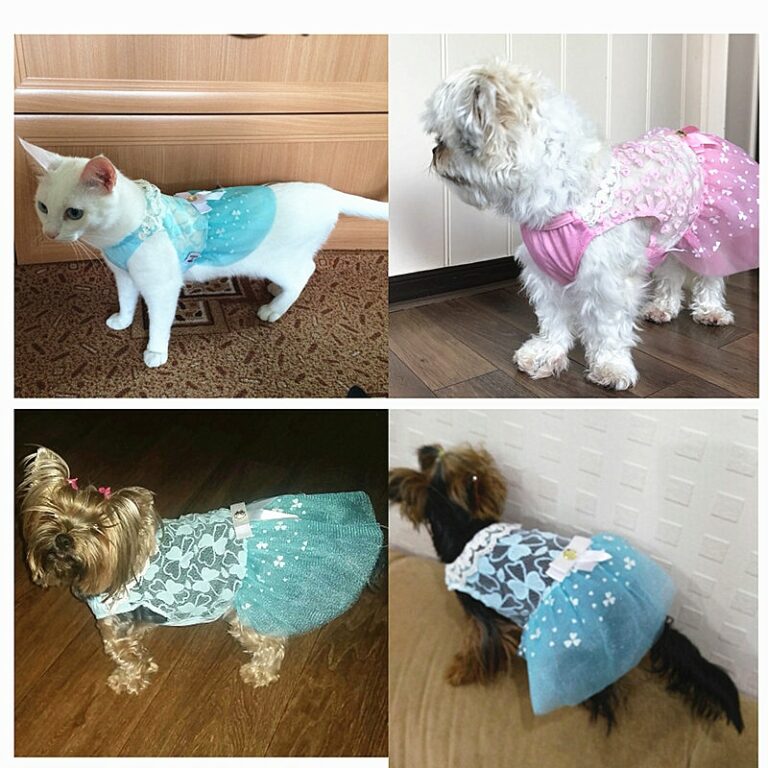 Small Pet Cat Lace Dress Summerspring Party Wedding Costume | CatsPros ...