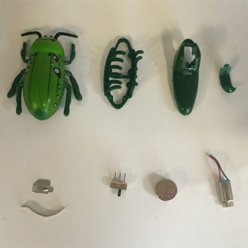 Realistic Batterypowered Mini Battle Bugs Cat Toy Ladybug Hornet Beetle ...