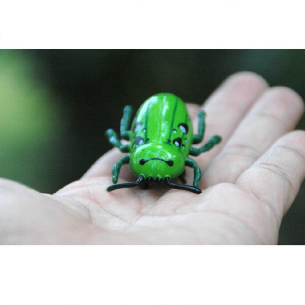 Realistic Batterypowered Mini Battle Bugs Cat Toy Ladybug Hornet Beetle ...