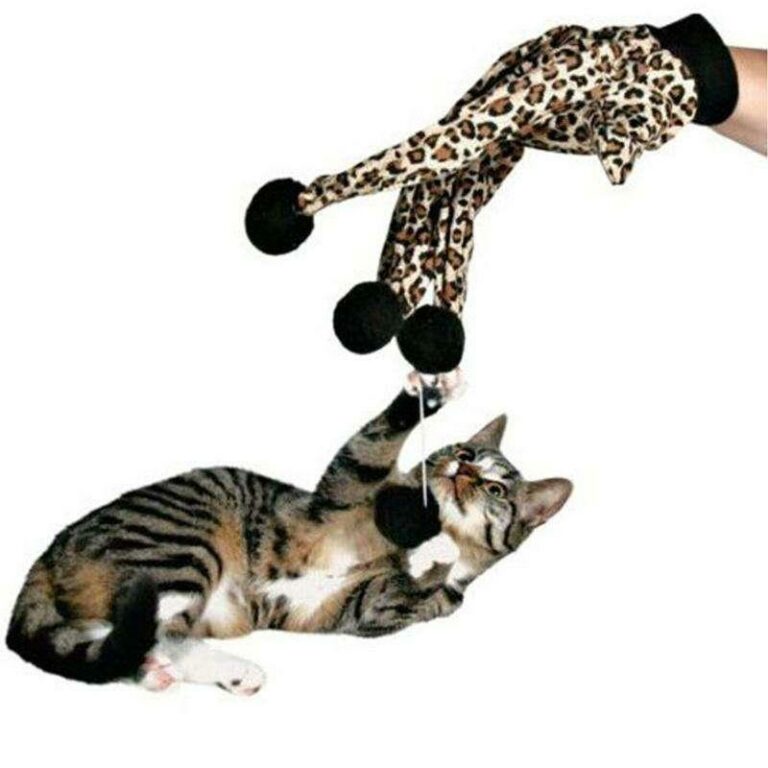 Leopard Glove Cat Scratcher Toy With Interactive Ball Teasers For ...