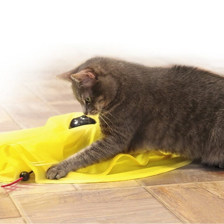 Interactive Electronic 4speed Undercover Mouse Cat Toy For Pets Puppy ...