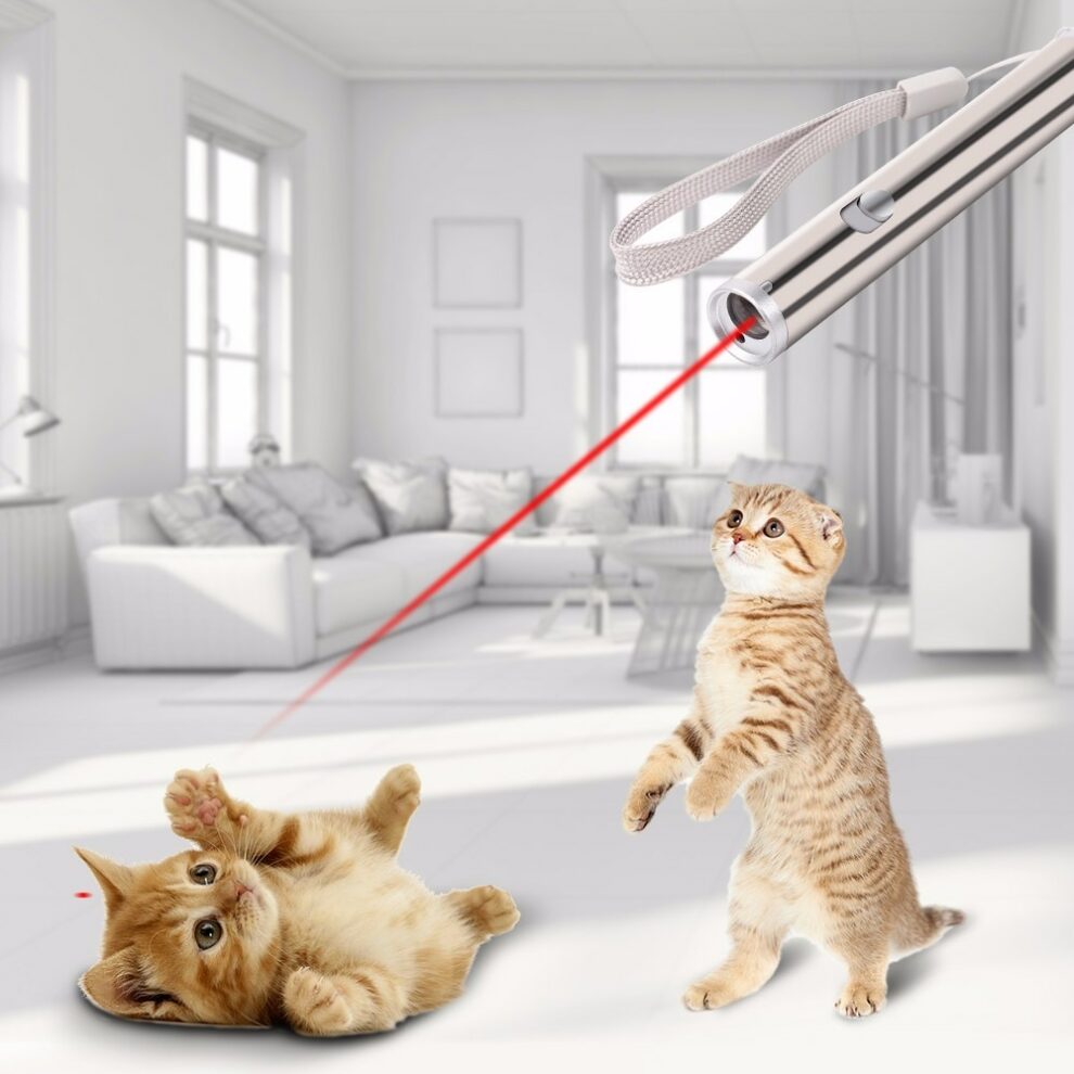 Leopard Glove Cat Scratcher Toy With Interactive Ball Teasers For Kittens | CatsPros.com | Free ...