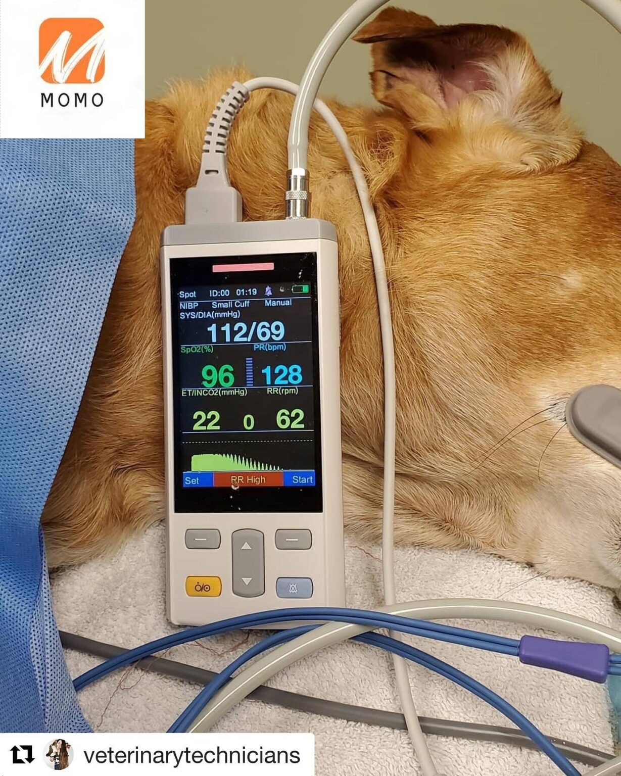 Portable Multifunction Vet Monitor For Dogs And Cats Health Monitoring ...