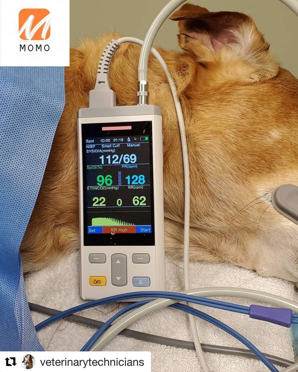 Portable Multifunction Vet Monitor For Dogs And Cats Health Monitoring ...