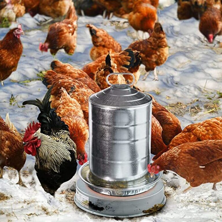 Portable Heated Poultry Waterer Base For Chicken Pet Hydration ...