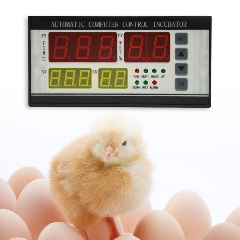 Digital Poultry Egg Incubator Automatic Temperature Humidity Controller | CatsPros.com | Free ...