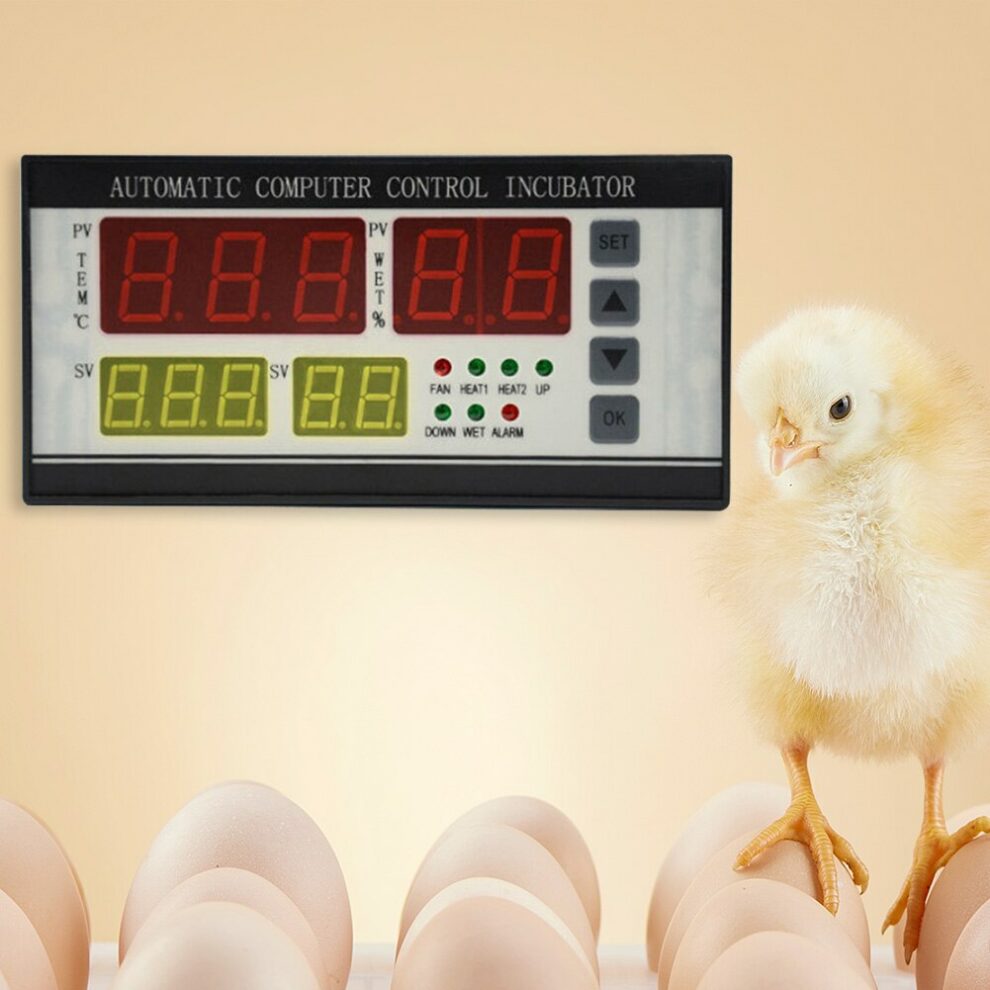 Digital Poultry Egg Incubator Automatic Temperature Humidity Controller ...