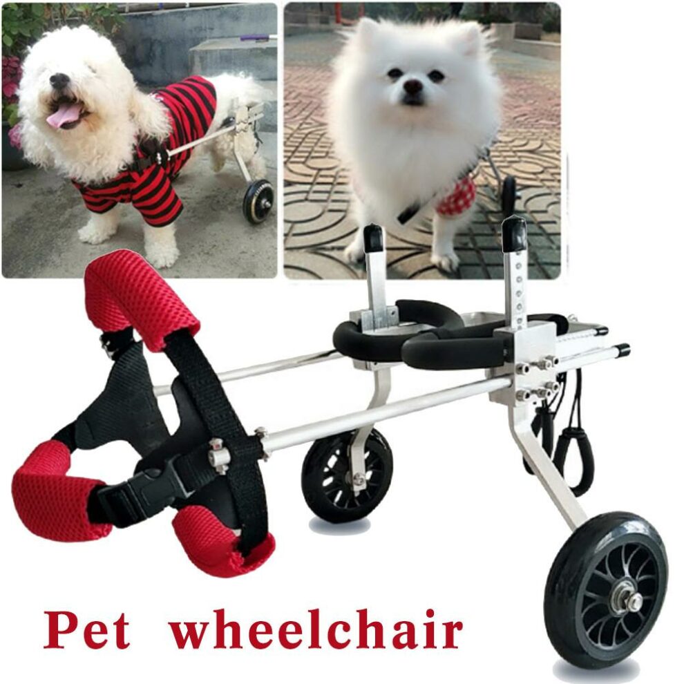 2wheel Dog Wheelchair For Handicapped Paralyzed Weak Rear Legs Scooter ...
