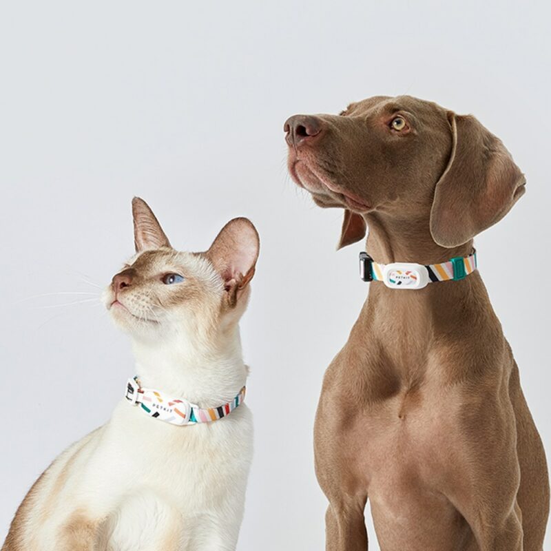 Petkit Gps Dog And Cat Activity Tracker Bluetooth Collar Device ...