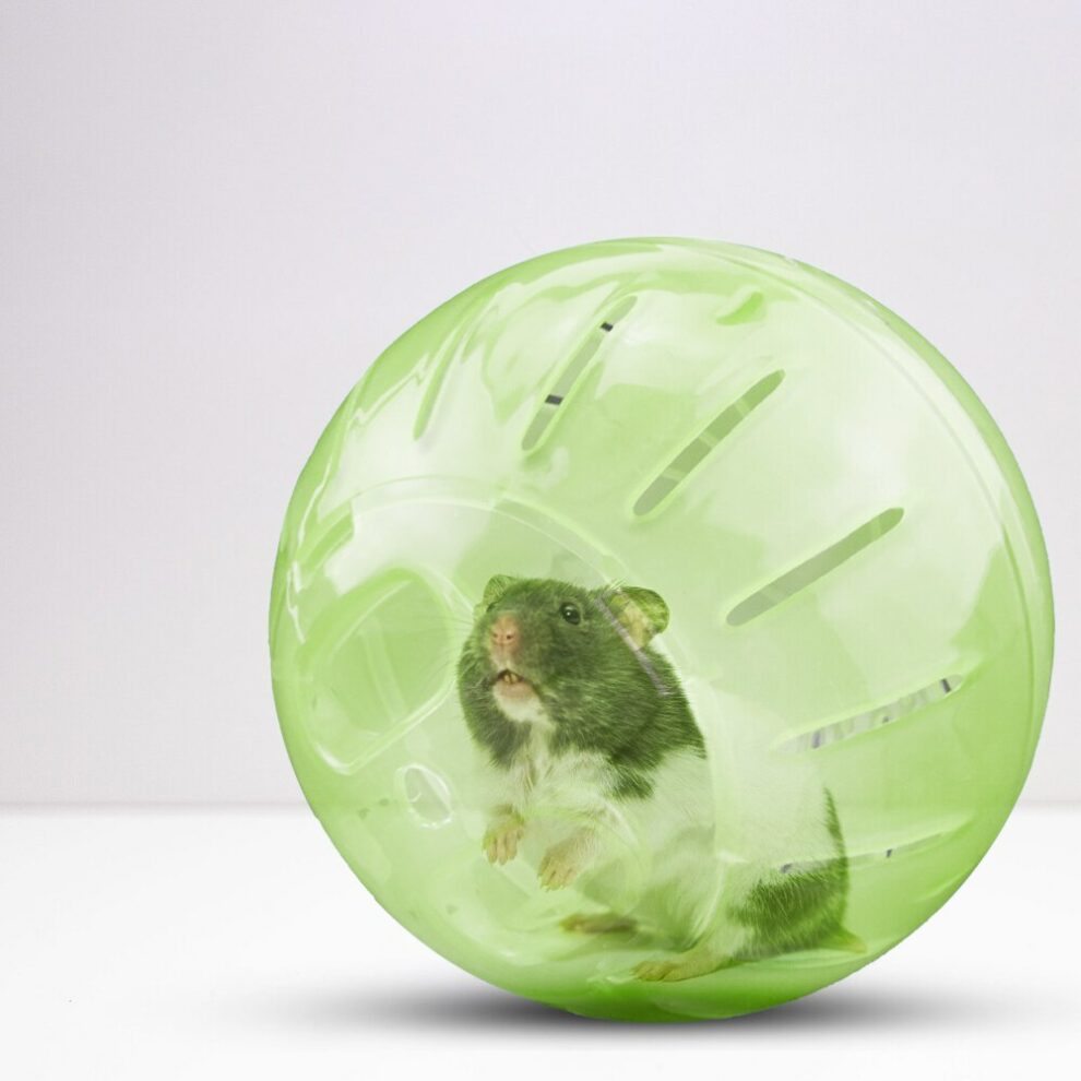 Portable Hamster Exercise Ball Mini Jogging Toy For Rodents Gerbils ...