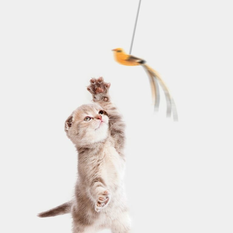 Interactive Cat Toy With Retractable Bird Mouse Scratch Rope For Pets ...