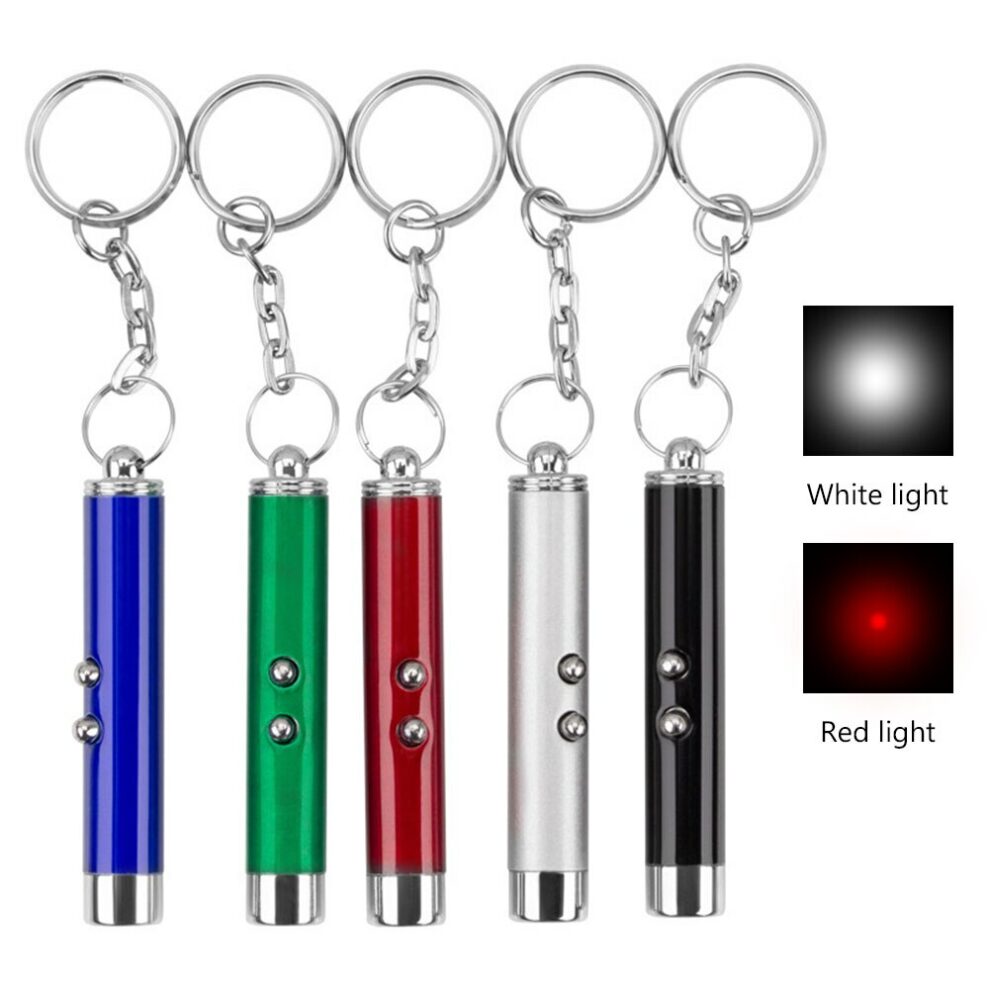 Interactive Led Laser Pointer Keychain 4mw Catdog Toy With Chasing ...