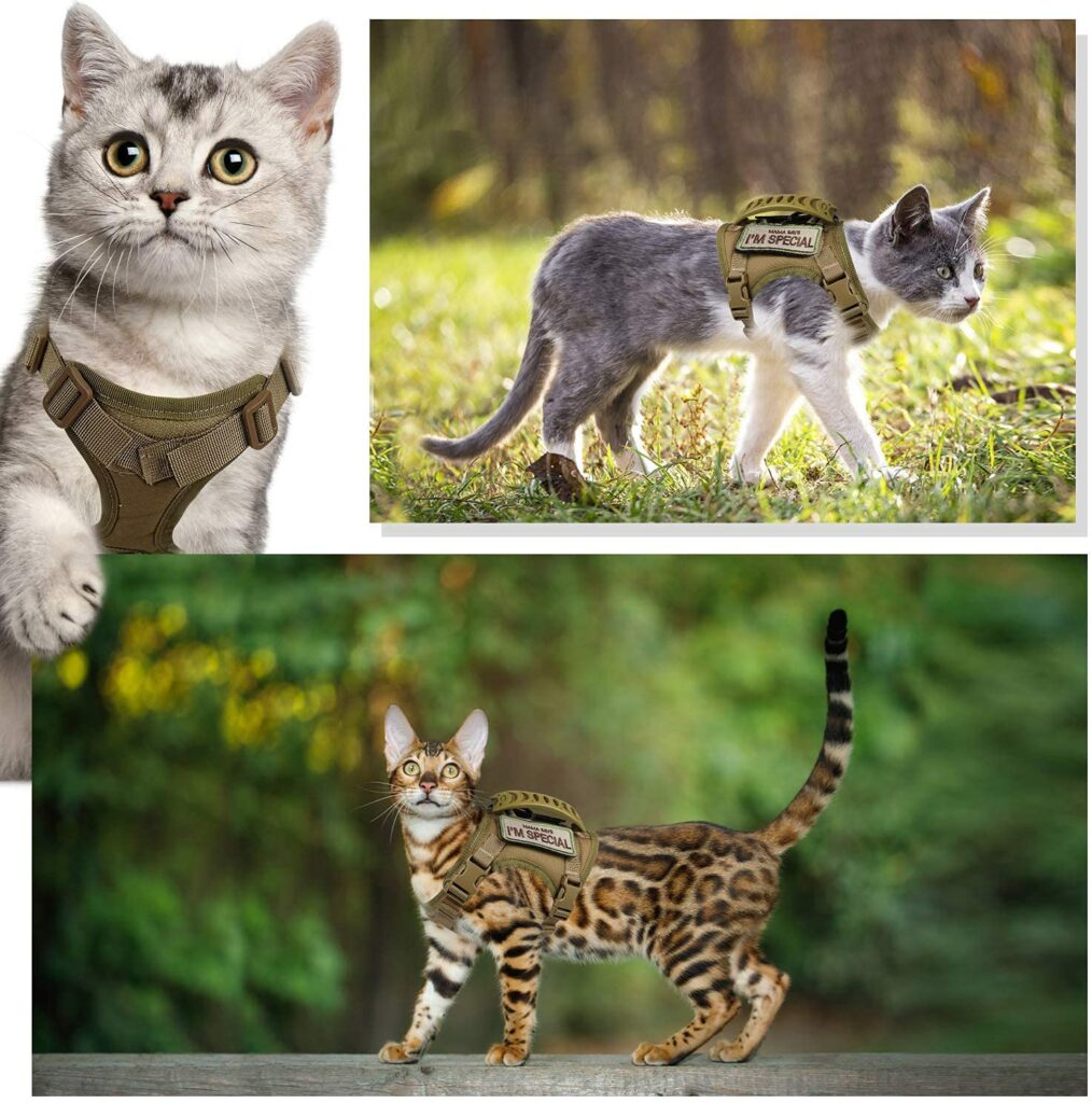 Escapeproof Adjustable Nylon Tactical Cat Harness For Dogs Cats ...