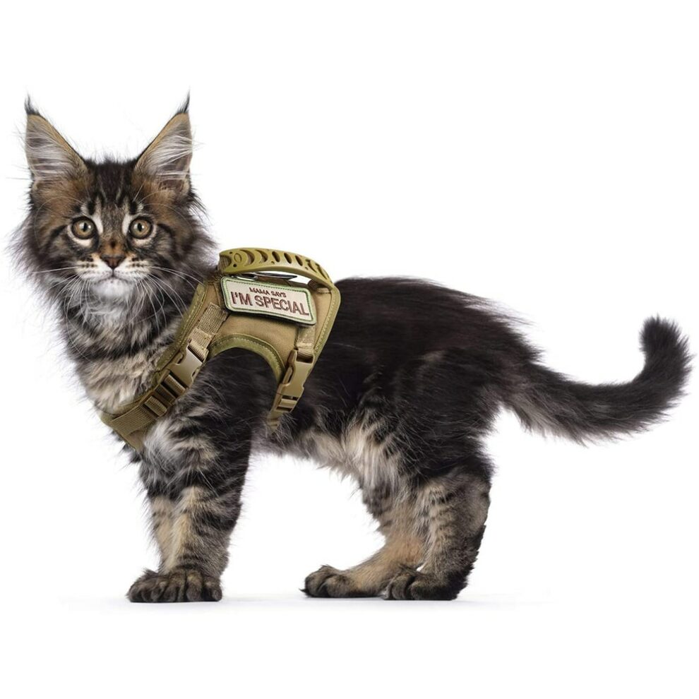 Escapeproof Adjustable Nylon Tactical Cat Harness For Dogs Cats ...