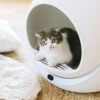 Petree Automatic Selfcleaning Cat Litter Box With Rotary Training | CatsPros.com | Free Shipping ...